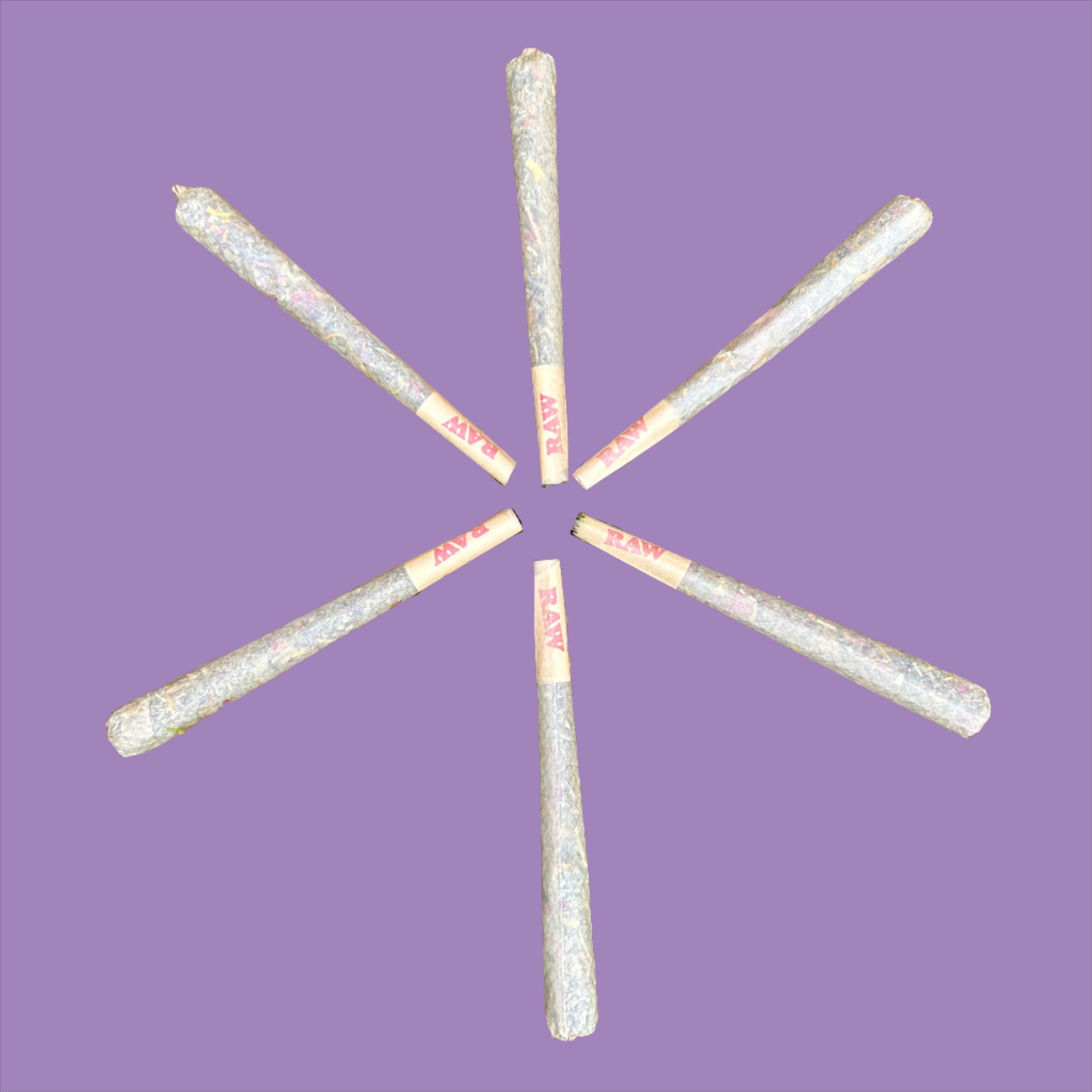 FAIRY BERRY – Apothafairy